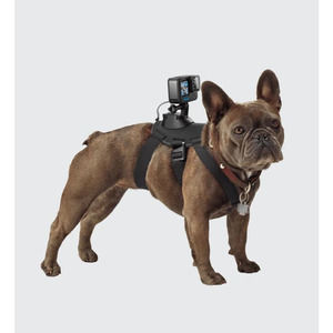 GoPro | Cameras, Photo & Video | Gopro Fetch Dog Harness Pups Point Of ...